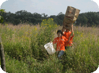 DOS.gif | Illinois Mathematics and Science Academy