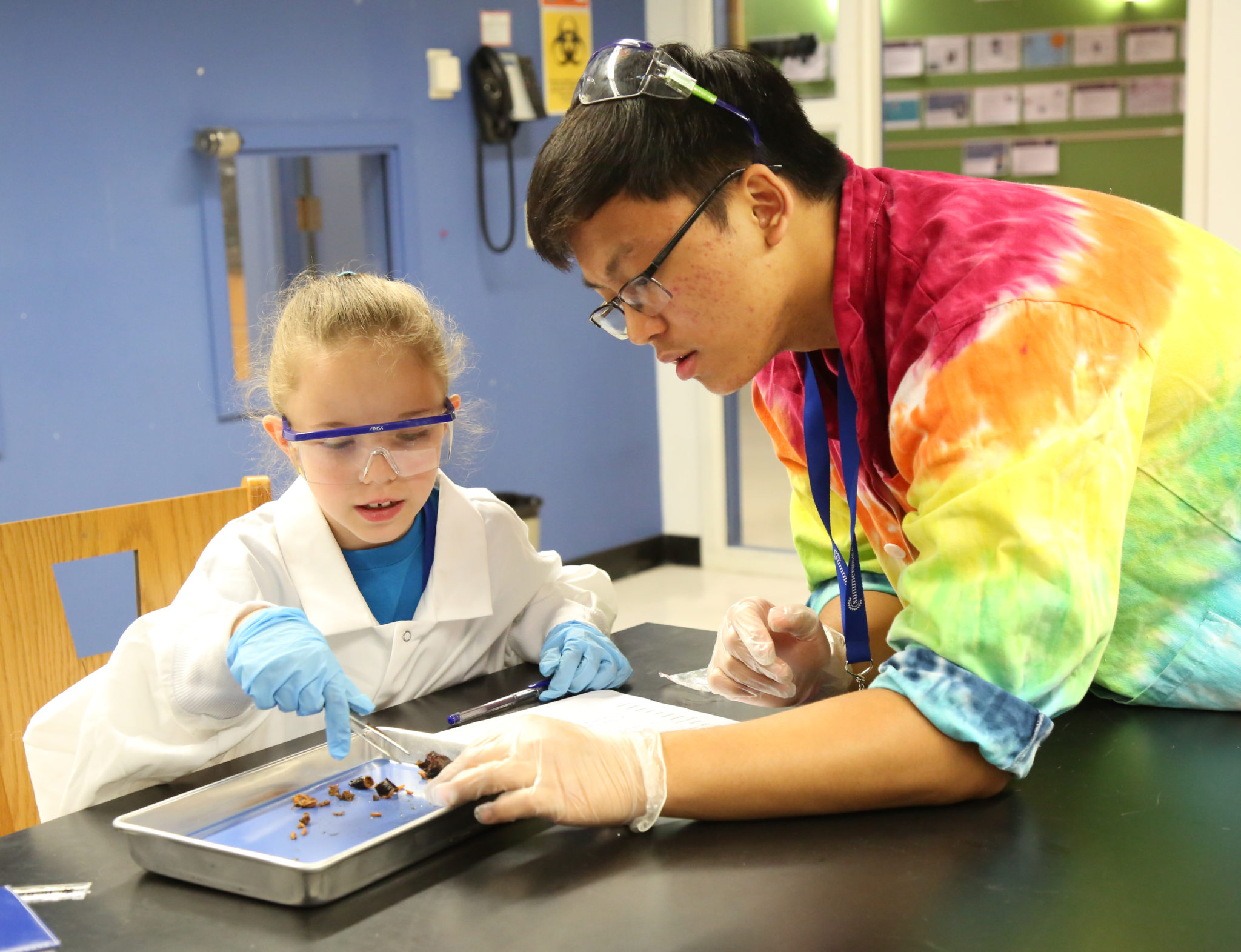 Summer Camp | Illinois Mathematics and Science Academy