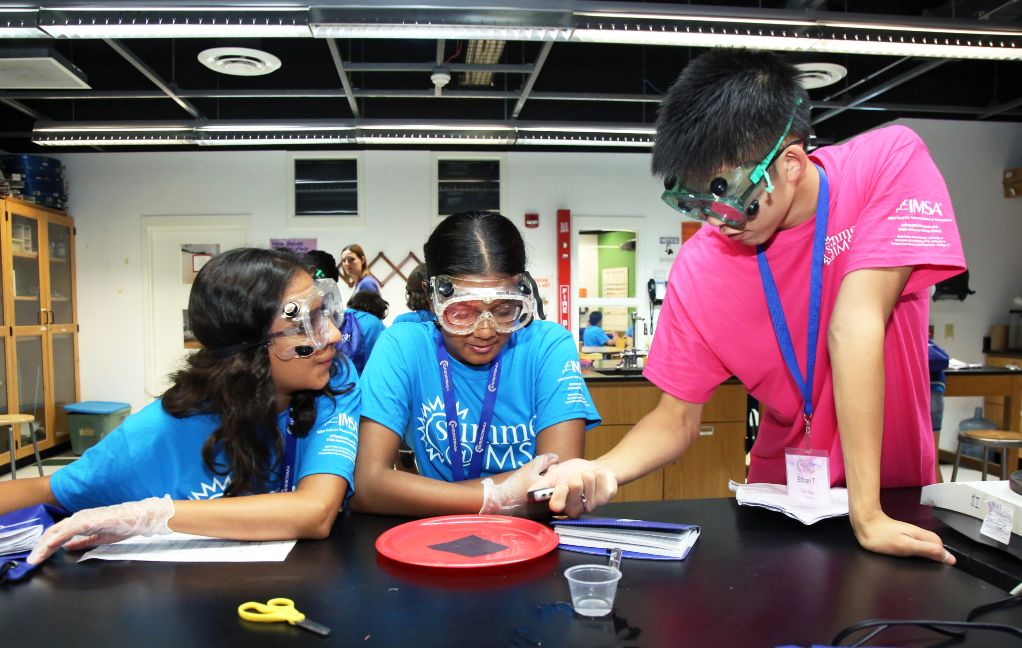 IMSA Student Allies | Illinois Mathematics and Science Academy