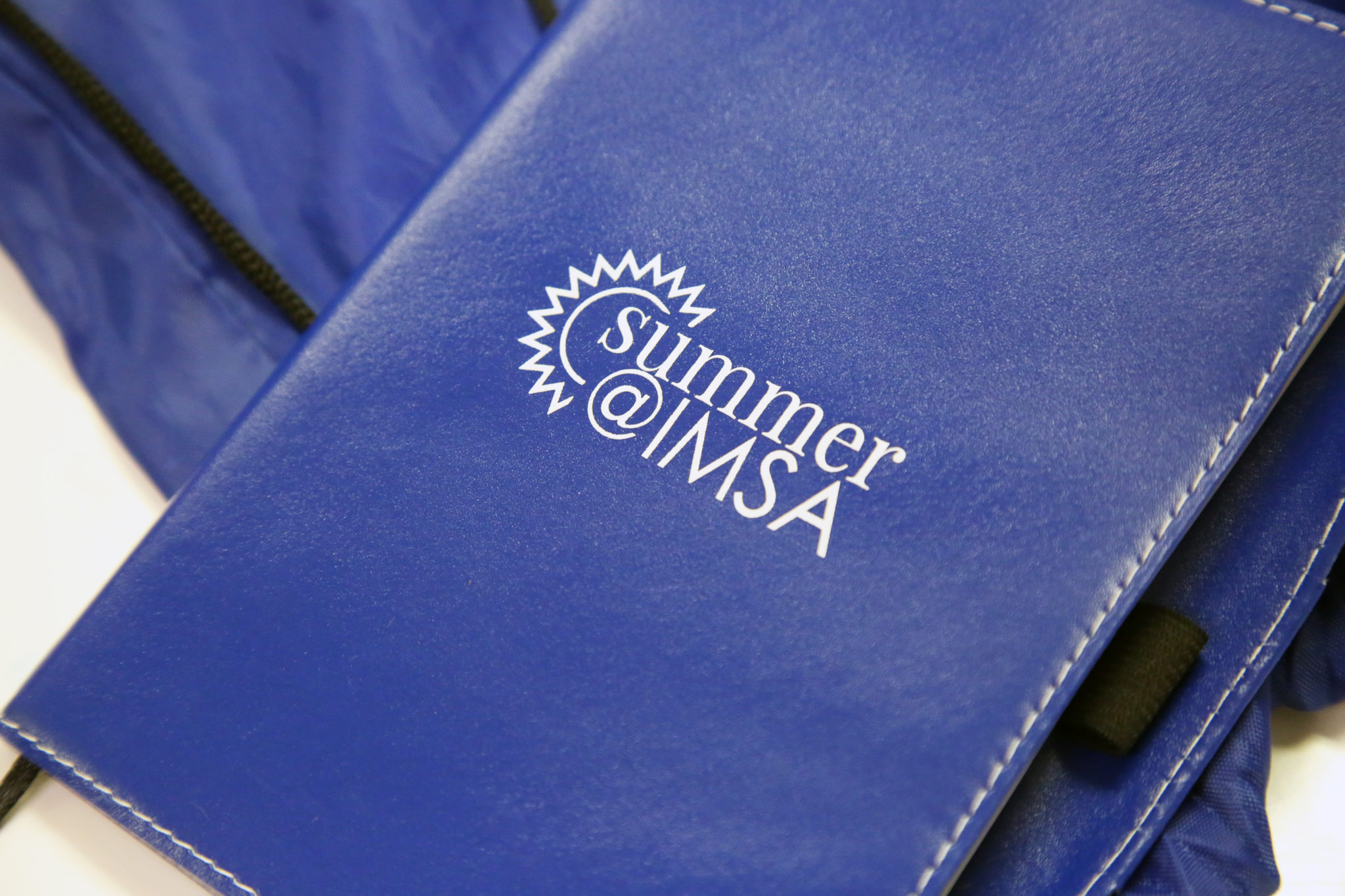 Summer-at-IMSA-Graphic | Illinois Mathematics and Science Academy