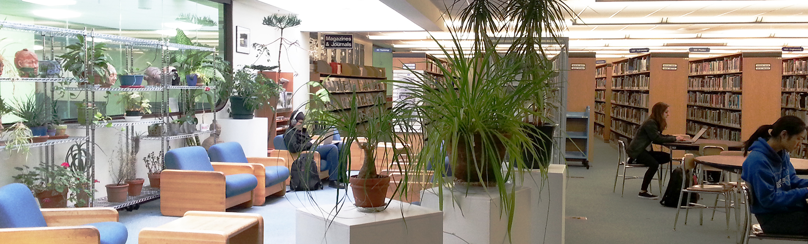 Visiting the Library | Illinois Mathematics and Science Academy