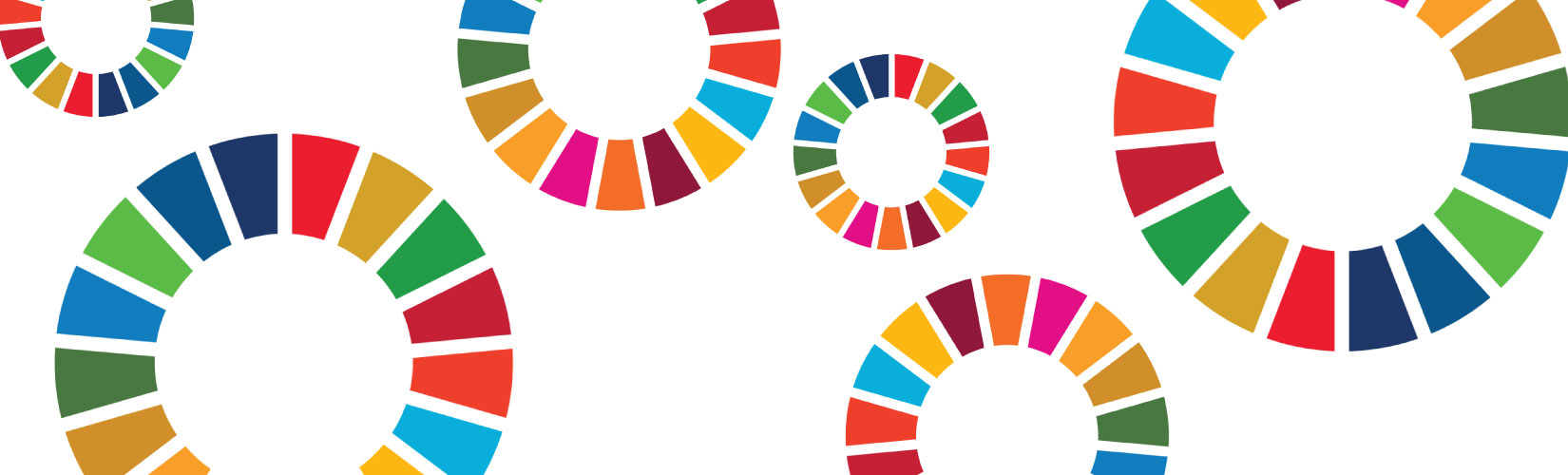 UN Sustainable Development Goals (SDGs) | Illinois Mathematics and ...