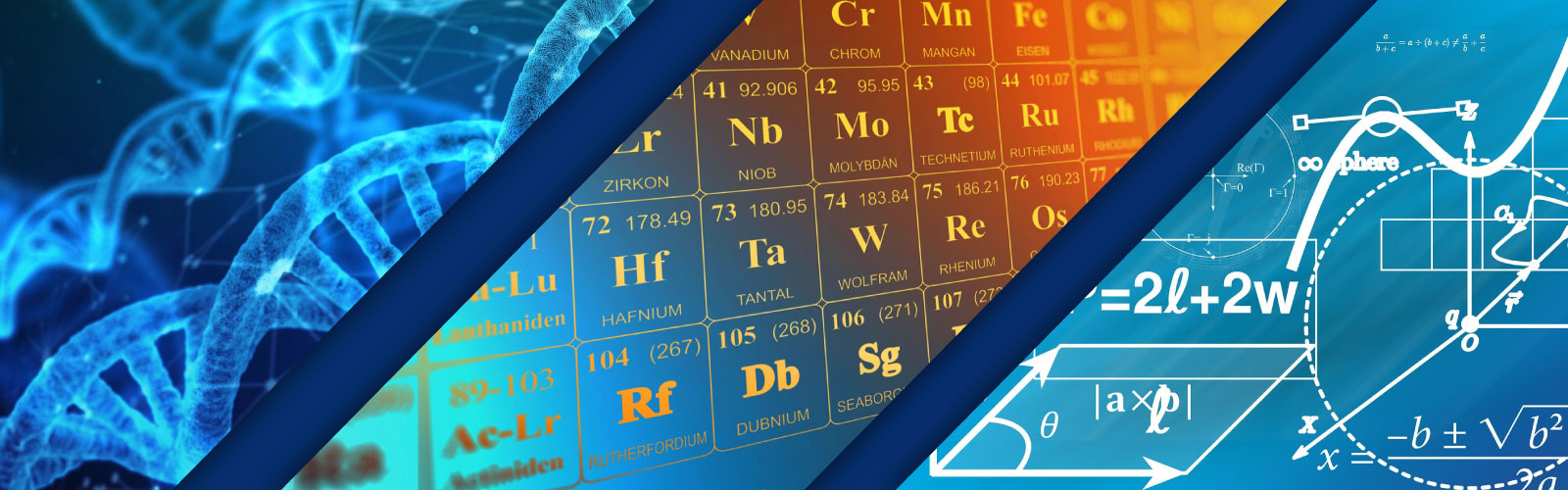 Survey of Science | Illinois Mathematics and Science Academy